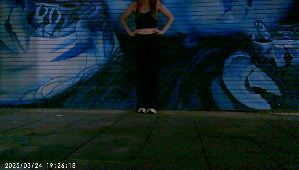 Ins and Outs of Puerto Rico – Archie's Adventuress